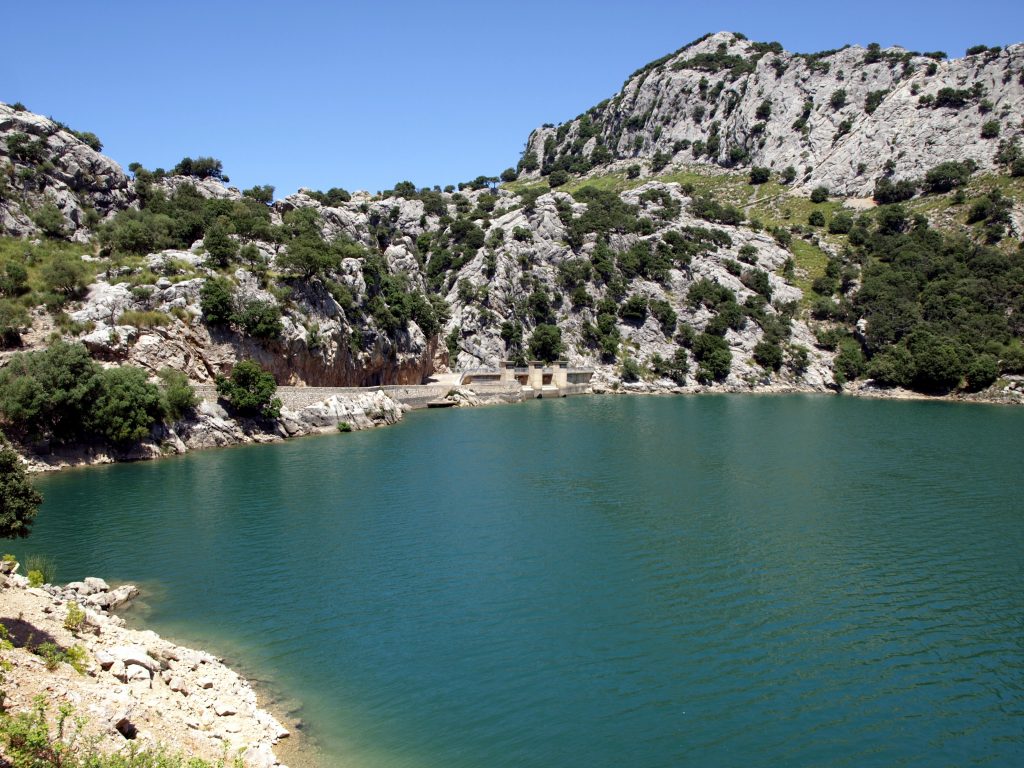 GORG BLAU - IB Magazine by Carlos Durán